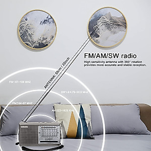 XHDATA D219 Portable AM FM Shortwave Radio Battery Operated Small Great Reception Radio with Good Sound,Earphone Jack for Elder,Home,Child [Silver]