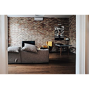 Fast & Furious - Movie Poster (Vin Diesel & Dodge Charger) (Size: 24" x 36")