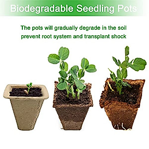 Fooyekep Seed Starter Tray,20 Pack Peat Pots for Seedlings,240 Cells Biodegradable Seed Starter Pots Germination Trays,Organic Seed Starter Kit with 20 Pcs Plant Labels