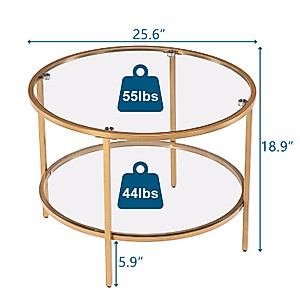VINGLI 25.6" Round Gold Coffee Tables for Living Room, 2-Tier Glass Top Coffee Table with Storage Clear Coffee, Simple & Modern Center Table for Small Space