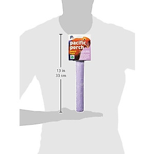 Prevue Pet Products Pacific Perch Beach Walk Large 1008