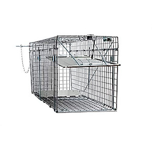 Animal Trap (32"x10"x12") - Best Humane Animal Trap for Gophers, Racoons, Possums, Groundhogs, Beavers and Other Similar Sized Animals. Easy Trap Catch & Release cage with 1-Door by LifeSupplyUSA