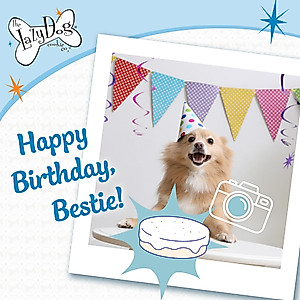 The Lazy Dog Cookie Co. Bake-at-Home Vanilla Birthday Cake Mix Dog Treat, 12-oz