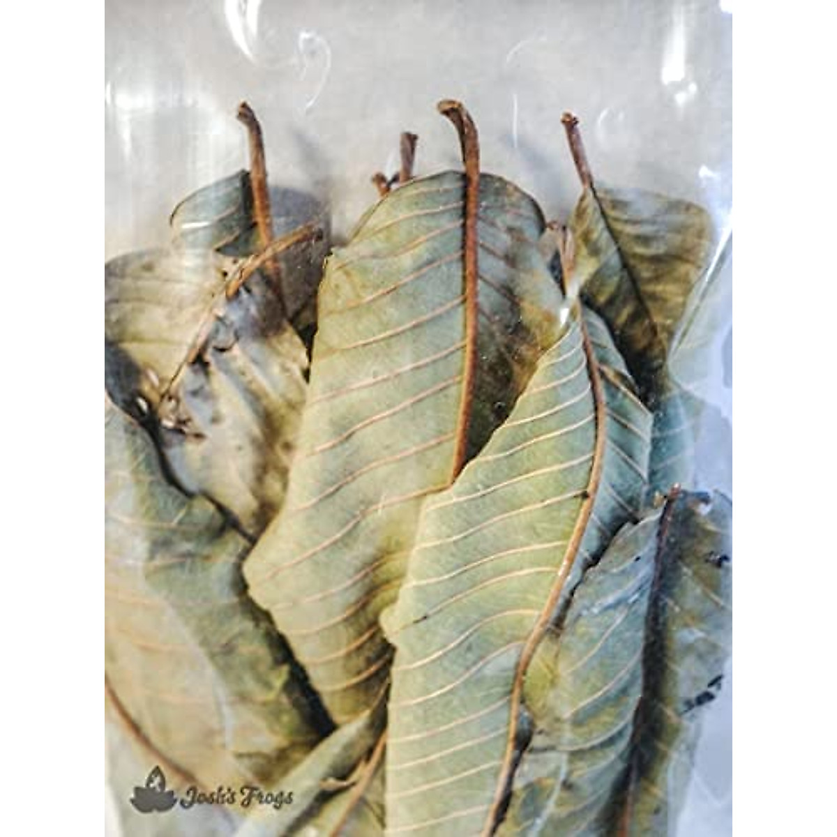 Josh's Frogs Guava Leaves Aquarium Leaf Litter (10 Count)