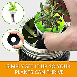Kratky Lids Wide Mouth Hydroponic Garden Compatible with Aerogarden Mason Jar Indoor Planting Includes 10 Lids 10 Plant Labels 10 Planter Baskets 10 Charcoal