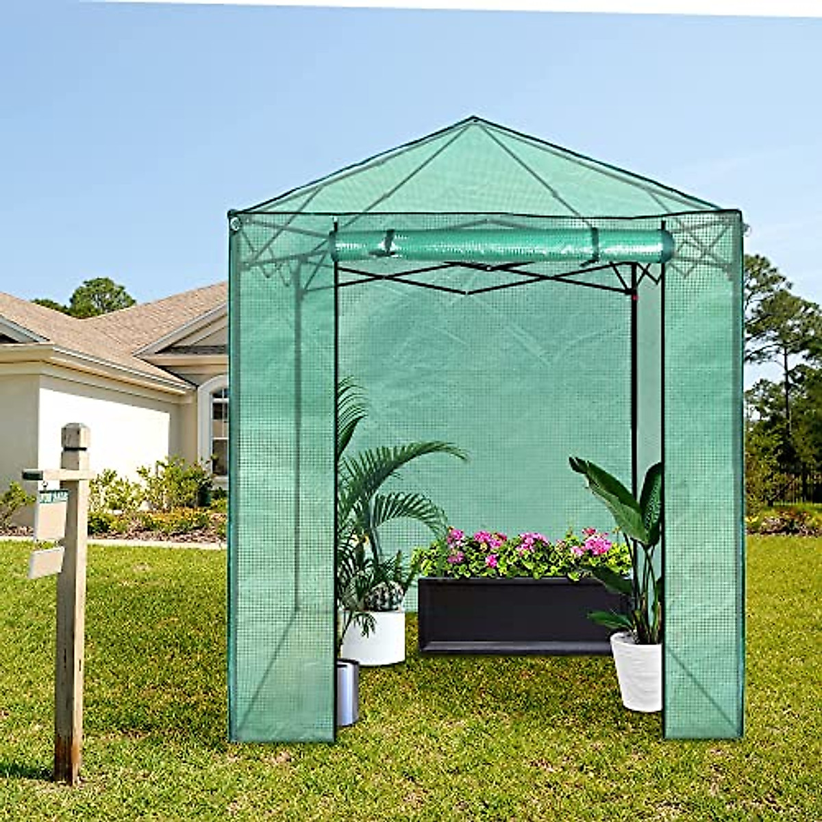 PexFix 6'x 5' Portable Walk-in Greenhouse Easy Setup,Indoor Outdoor Greenhouse Garden Green Houses Instant Pop-up Greenhouse,2 Roll-Up Mesh Windows and Roll-up Zipper Door,Green