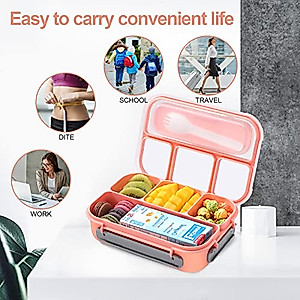 Amathley Lunch Box Kids,Bento Box Adult Lunch Box,Lunch Containers for Adults/Kids/Toddler,1300ML-4 Compartment Bento Lunch Box,Microwave & Dishwasher & Freezer Safe,BPA Free (Pink)