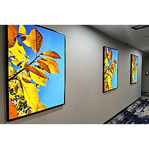 Aynoo 16x20 Poster Frame Black, Display Posters 16x20 Wooden Picture Frames, Wall Gallery Collage Frames,Wood,1Pack