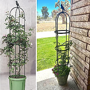 Garden Trellis for Climbing Plants, Rustproof Metal Pipe with Heavy Duty 6ft, Garden Outdoor Indoor Potted Plant Support（Black）…