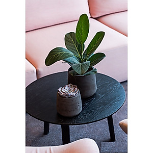 Petite Black Planter 6" H x 7" - Black Washed Fiberstone Indoor and Outdoor Flower Pot - by Pottery Pots