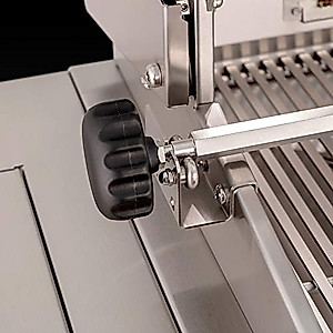 Echelon Diamond E1060I-4EAP-W Analog Grill w/Magic View Windows - LP