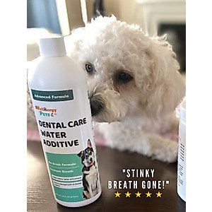 Wellnergy Pets Dental Care Water Additive for Dogs & Cats 2 Pack – No Brush Formula, Oral Hygiene & Fresh Breath, Reduce Plaque and Tartar. 16 FL OZ Each Bottle