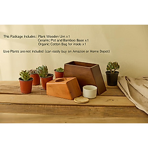 AspenStudio Plant Urn with Ceramic Pot with Magnetic Joint Solid Wooden Urn for Adult Human Ash Cremation Funeral Handcrafted Wood Urn Decorative Urn Large Urn Interior