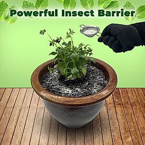 Mighty Mint Insect & Pest Control, Diatomaceous Earth Peppermint Powder, 1 lb