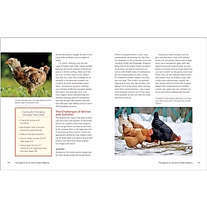 Let's All Keep Chickens!: The Down-to-Earth Guide to Natural Practices for Healthier Birds and a Happier World