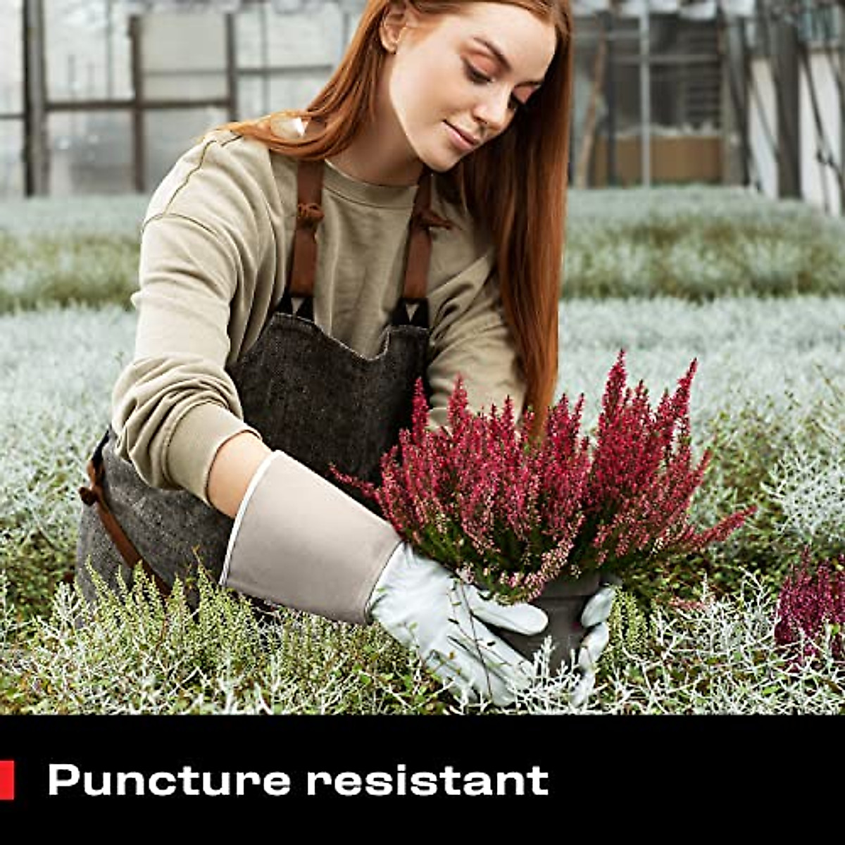 NoCry Long Leather Gardening Gloves for Women and Men; Near Thorn Proof for Cactus, Rose and Blackberry Pruning, General Yard Work and Garden Gloves; Reinforced Palms and Fingertips; Beige; Medium