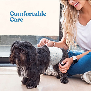 Comfortable Male Dog Diapers - 50-Pack Super Absorbent Disposable Male Dog Wraps- FlashDry Gel Technology, Wetness Indicator Doggie Diapers- Leakproof Belly Wraps for Incontinence, Excitable Urination