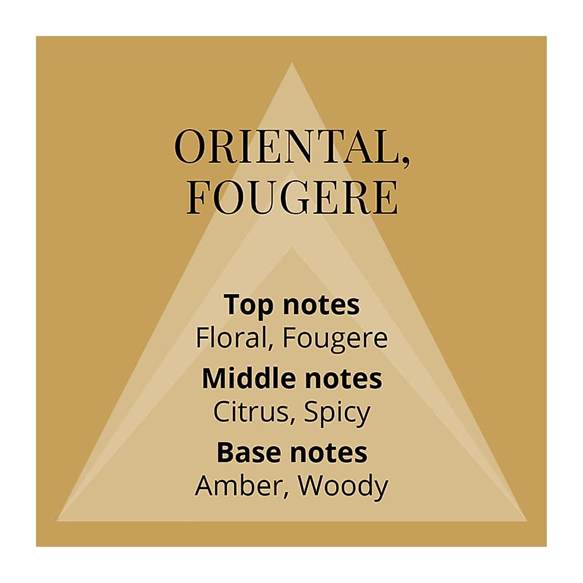 COLOUR ME Gold Homme by Milton-Lloyd - Perfume for Men - Spicy Aromatic Fragrance - Notes of Spices, Leather, Patchouli, and Amber Notes - Cologne for Men - 1.7 oz EDP Spray