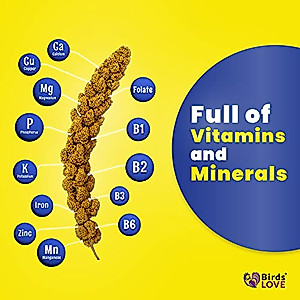Birds LOVE Economy & Thin Special Spray Millet GMO-Free No Pesticides (No Stems Only Edible Tops) for Birds Cockatiel Lovebird Parakeet Finch Canary All Parrots Healthy Treat-9oz…