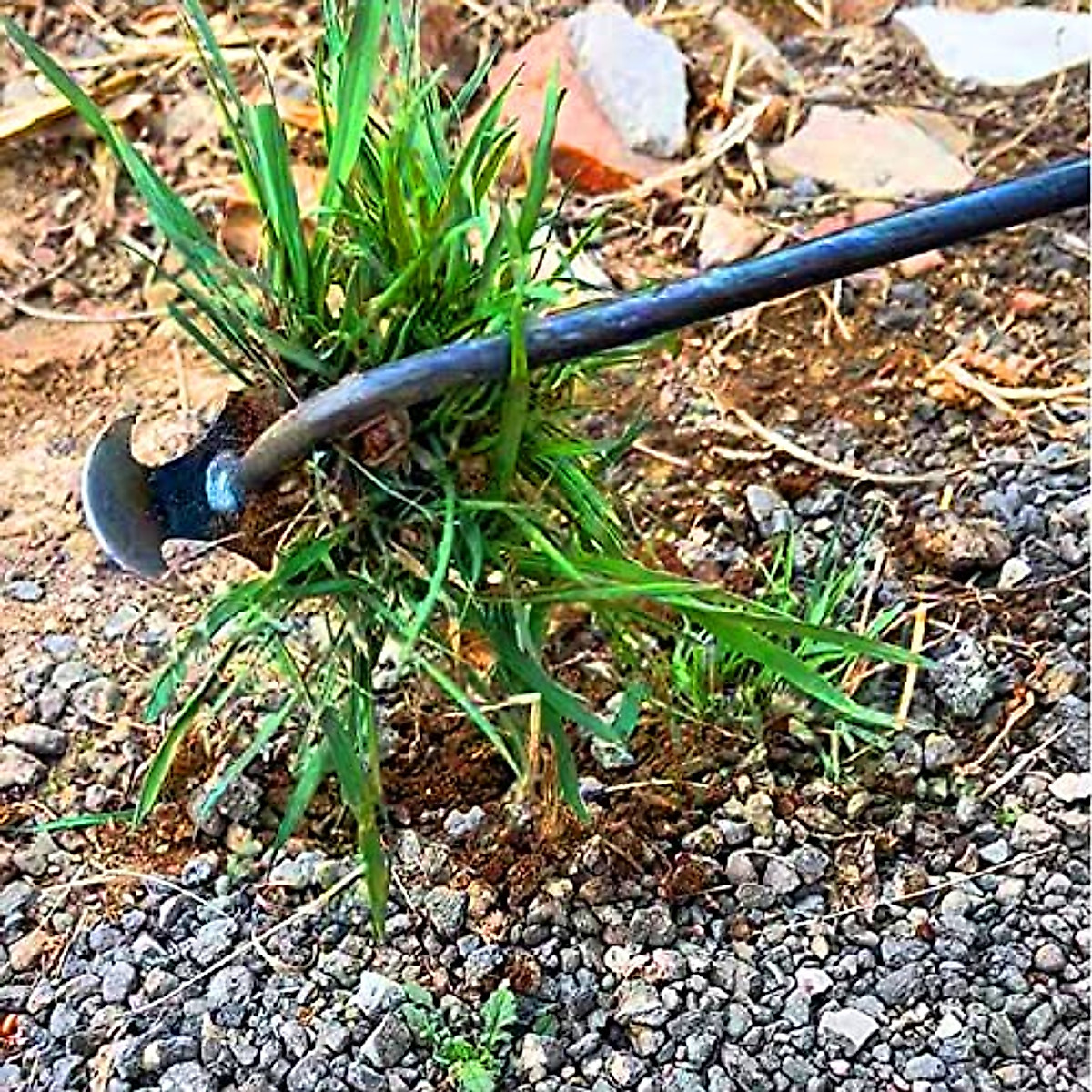 2023 New Weeding Artifact Uprooting Weeding Tool, Manganese Steel Forged Weed Puller 4 Teeth Dual Purpose Weeder, High Strength Hand Remover Tool for Garden (B)