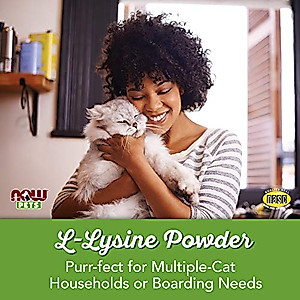 NOW Pet Health, L-Lysine Supplement, Powder, Formulated for Cats, NASC Certified, 8-Ounce
