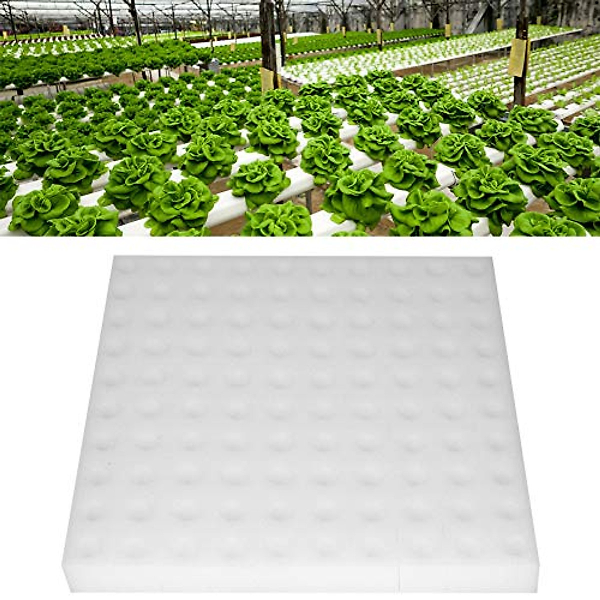 100Pcs Hydroponic Sponge Planting Tool Square Sponges for Greenhouse Hydroponic Sponge