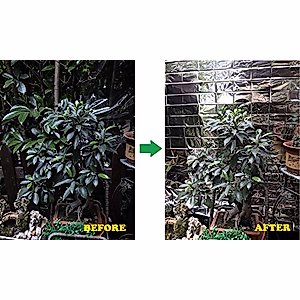 NAVADEAL 2 Pack Silver Highly Reflective Mylar Films, 82x 47Inch, Metallized Foil Covering Sheet, Garden Greenhouse Farming, Increase Plant Growth Save Power, Reduce Uneven Heat Environment Safe