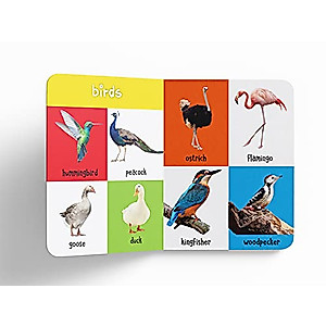 My First 100 Library: Boxset of 5 Early Learning Board Books