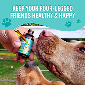 Nature's Synergy Hemp Oil for Dogs, Cats & Pets, Omega 3 6 9 Fatty Acids for Hip and Joint Support, Skin and Coat Health, Calming Dog Supplement to Support Stress from Travel, Separation, 1 Oz Bottle