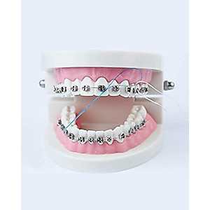 Floss Threaders | for Braces, Bridges, and Implants |210PCS (Pack of 3)
