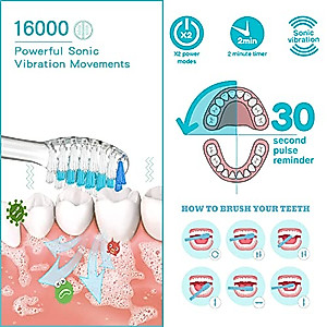 SEAGO Kids Electric Toothbrushes, Battery Powered Children Toothbrush with 2 Mins Timer and LED Light, Soft Kids Tooth Brush Sonic Toothbrush for Boys Girls Ages 4+ (Green)