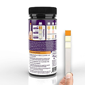 Kit4Cat Litter & Test UTI Bundle - Kit4Cat Hydrophobic Litter with CheckUp 3 Parameters UTI Testing Strips x 50