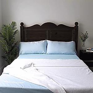 SaniSnooze Scholar Waterproof Bedwetting Mattress for Teenagers, CertiPur-US Certified (Queen - 60" x 80" x 6")