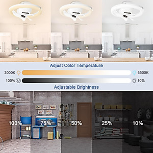 alescu Ceiling Fans with Lights E26 Base, 10" Ceiling Fan with Memory Function,Fan with Shake Head Function for Bedroom, Living Room, Kitchen, Balcony