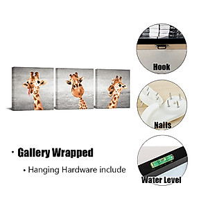 SiMiWOW Giraffe Art Decor Pictures Funny Wild Animals Framed Canvas Wall Art Kids Children Bedroom Bathroom Nursery Wall Decor