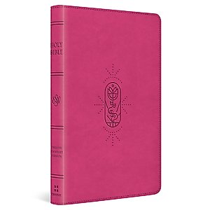 ESV Kid's Bible, Thinline (TruTone, Berry, The True Vine Design)