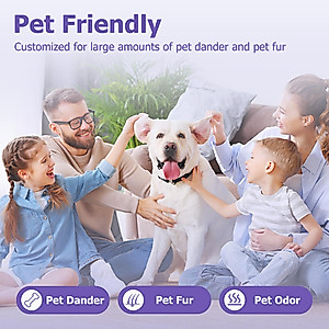 FLT4850PT HEPA Filter B Replacement Compatible with AC4825 AC4300 AC4800 AC4900 AC4850, 4 True HEPA Filters & 8 Activated Carbon Pre-Filters, Pet Pure Version, Purple