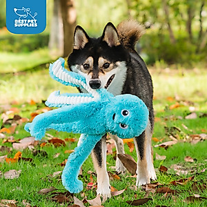 Best Pet Supplies OctoMutant Crinkle Plush Dog Toys for Interactive Play, Puppy and Senior Indoor Play, Colorful Octopus Toy Shape, Soft Head Stuffing, Cute and Cuddly