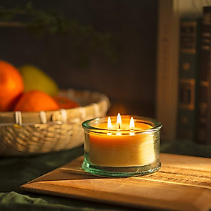 Bluecorn Botanica Beeswax Candle - 3-Wick Scented Candle Made with Pure Beeswax & Vanilla