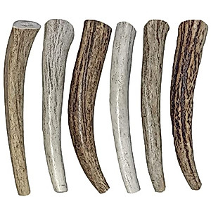 WhiteTail Naturals - Antlers for Small Dogs (6 Pack) Deer Antler Dog Chew Bones for Small to Medium Aggressive Chewers - Long Lasting Horn Chew Toys - Naturally Shed
