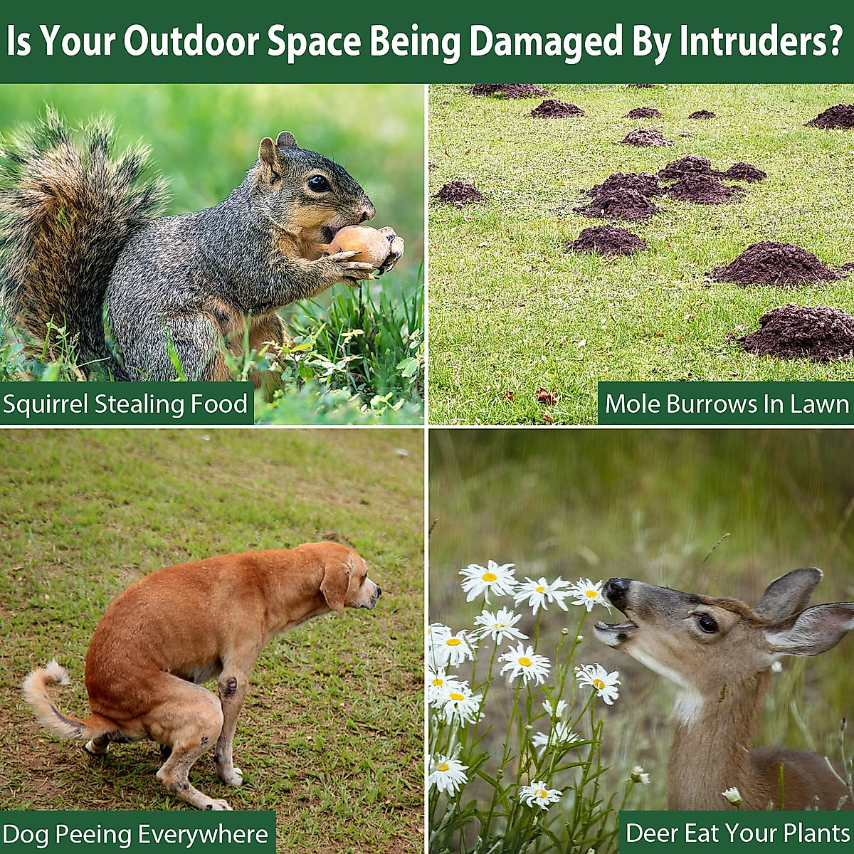 Solar Ultrasonic Animal Repeller,2024 Upgrade Cat Repellent Outdoor,Solar Outdoor Animal Repeller Squirrels Repellent with Motion Sensor and Flashing Lights,Dog Repellent,Repel Raccoon,Skunk,Squirrels