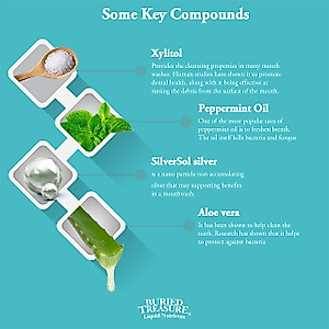 Xyli Swish - All Natural Formulated Nano Silver, Xylitol & Aloe Mouthwash - Alcohol and Fluoride Free - Oral Rinse to Fight Bad Breath & Dry Mouth - Peppermint Flavor - 16oz.