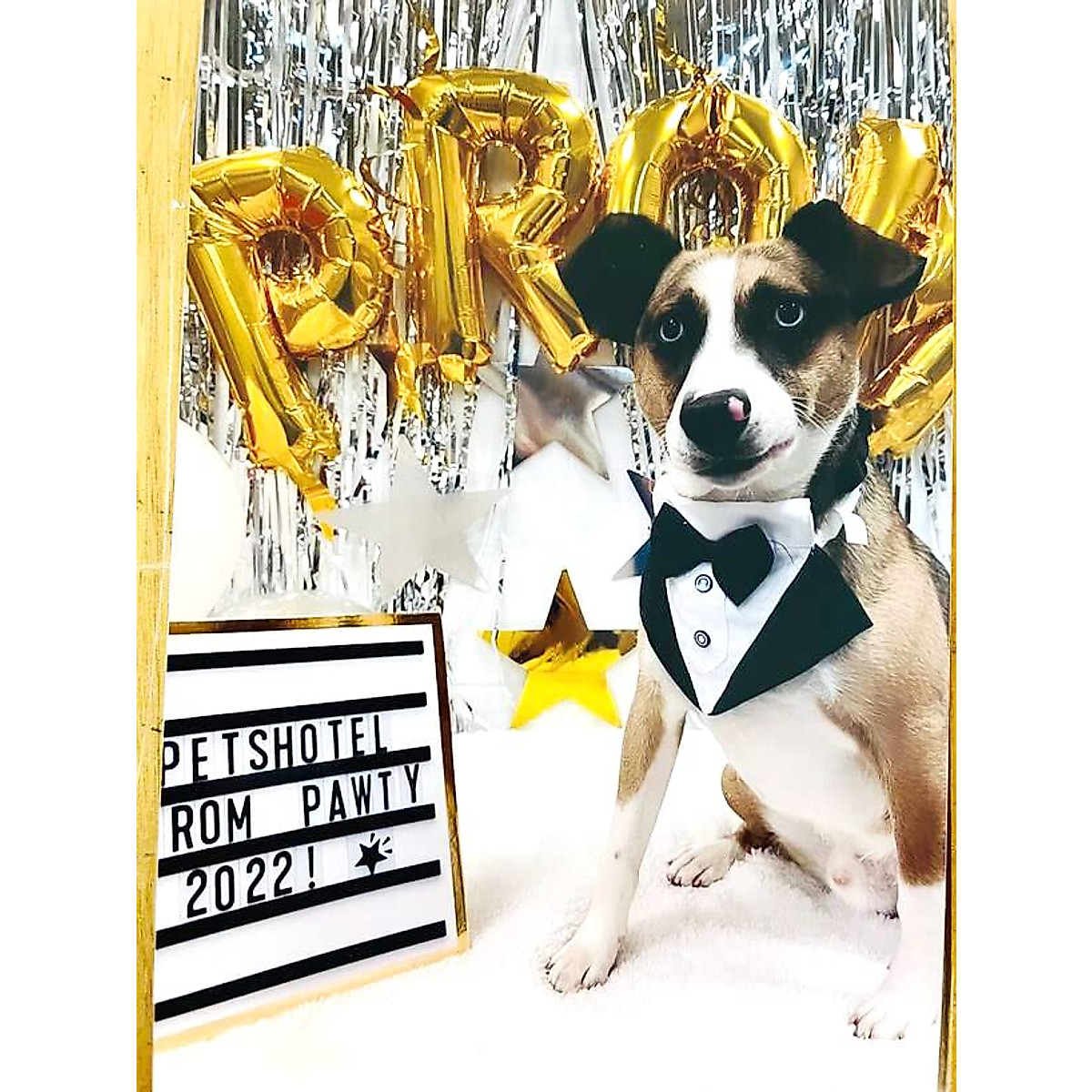 Bow Tie Dog Collar, iToolai Adjustable Collar Wedding Bandana for Small Medium Large Dog Boy(Black Strips, Large)