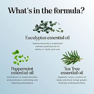 Breathe Essential Oil for Diffuser - Invigorating and Refreshing Breathe Essential Oil Blend with Eucalyptus Peppermint Tea Tree and Mint for Diffusers for Home and Shower Aromatherapy (1 Fl Oz)