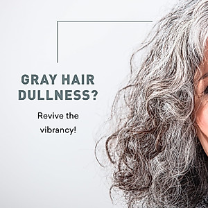 Just Nutritive Gray Hair Shampoo | Gray Hair Treatment | Just Natural Hair Care | Natural Shampoo 16 Oz