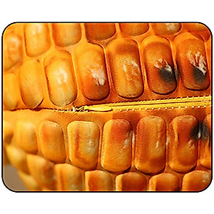 Maxpetus Toasted Corn Pillow, Green Corn, 3D Simulation Independent Sofa Decoration Cushion (24in, Roast Corn)