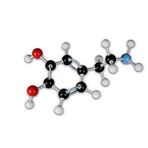 Parco Scientific PCM007 125PCs Molecular Model Kit