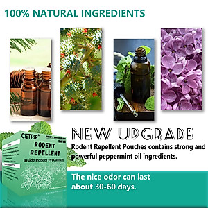 suphanlin CETRIP Peppermint Oil to Repel Mice and Rats,Mouse Repellent,8 Pack Rodent RepellentRat Repellent Outdoor/Indoor,Mouse Deterrent Indoor, Rodent Deterrent