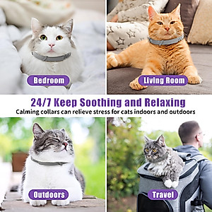 Yirr Calming Collar for Cats, Cat Calming Collar, Cat Pheromone Collar, Cat Calming Collar for Indoor Outdoor Cats, Relaxing Pheromone for Cat Relief Stress Anxiety Fighting Scratching, 4 Pack(Grey)