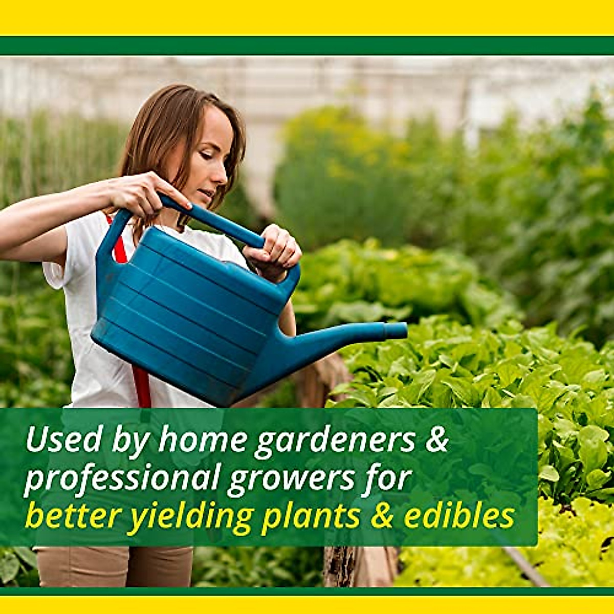 SUPERthrive Liquid Organic All Purpose Plant Food 1 qt.